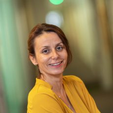 Accueil - Territoires zéro chômeur de longue durée